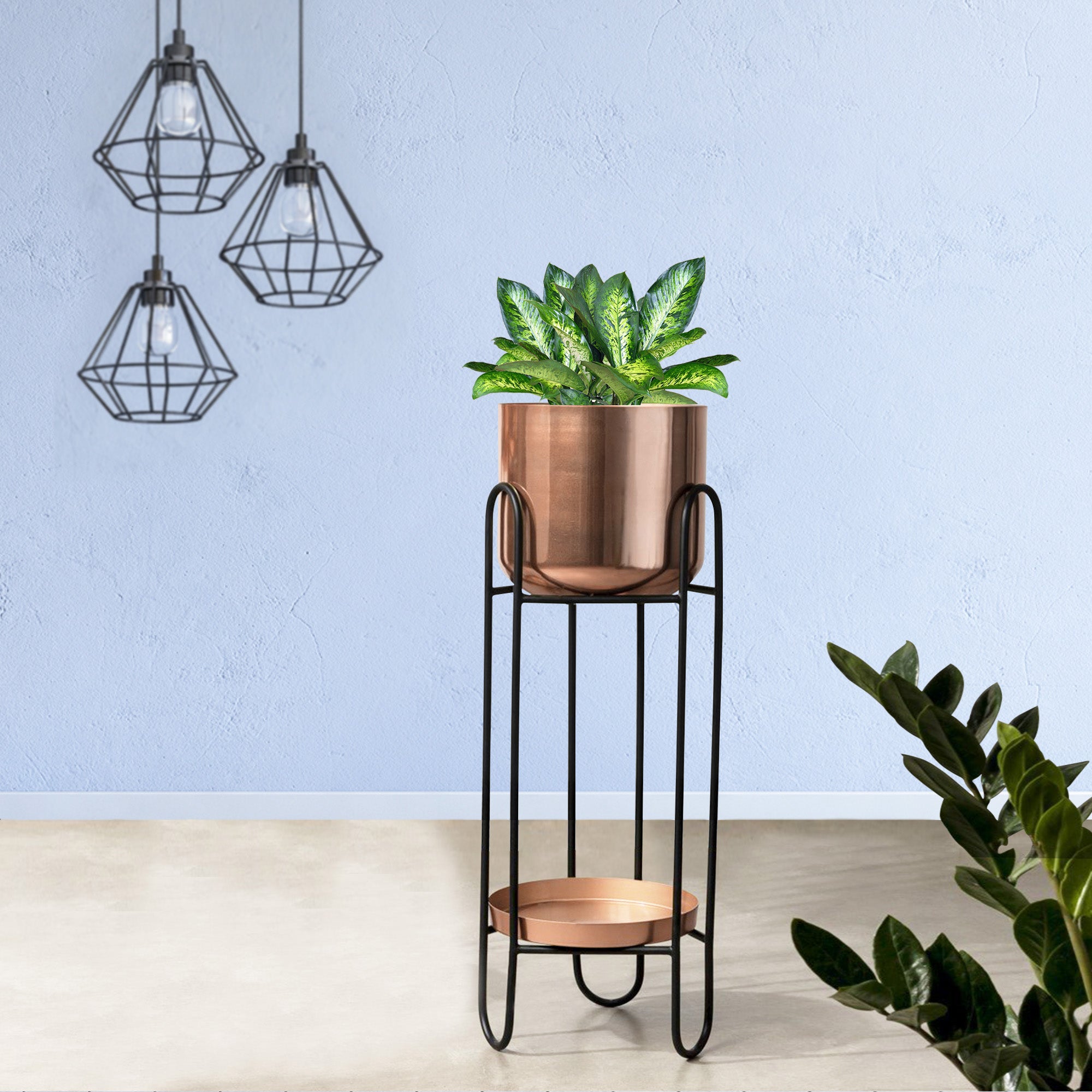 Dual Crown Black Stand & Ross Gold Finish Pot - Medium Size Planter ...